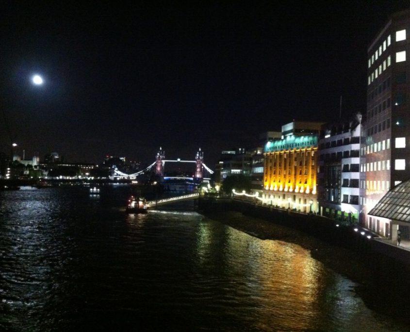 SAP Training, SAP FICO, SAP SD, SAP MM - Software Technology